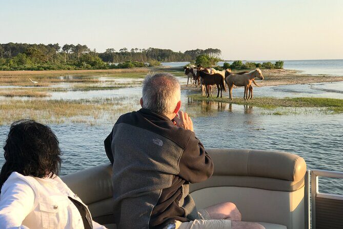 Grand Boat Tour around Chincoteague and Assateague Islands - The Experience in Detail: From Start to Finish