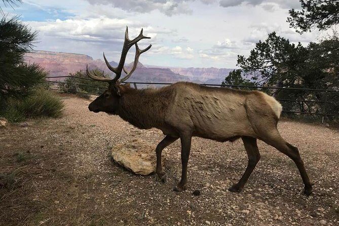 Grand Canyon Signature Hummer Tour with Optional Sunset Views - Detailed Itinerary Breakdown