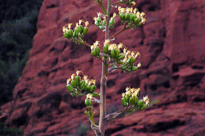 Grand Canyon South Rim Day Trip from Flagstaff - In-Depth Look at the Itinerary