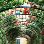 Grand Schoenbrunn Palace and Carriage Museum Tour Small Group - Practical Details and Value