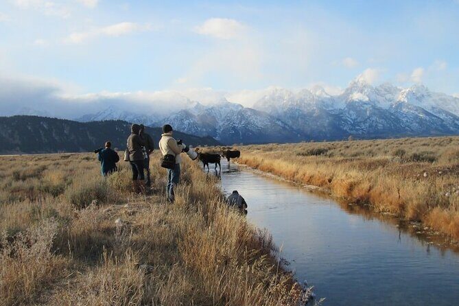 Grand Teton and its Wildlife: Private Guided Tour - Who Will Love This Tour?