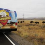 Grand Teton National Park: Full-Day Tour with Boat Ride - The Value of This Tour