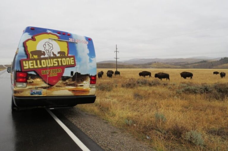 Grand Teton National Park: Full-Day Tour with Boat Ride - The Value of This Tour