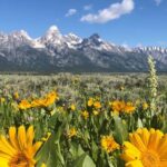Grand Teton National Park Private Wildlife Safari - Dawn/Dusk - Why This Tour Outshines Many Alternatives