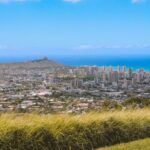 Grand Tour Around Oahu- Swim at Waterfall & Turtle Beach - Transport and Group Size: What to Expect