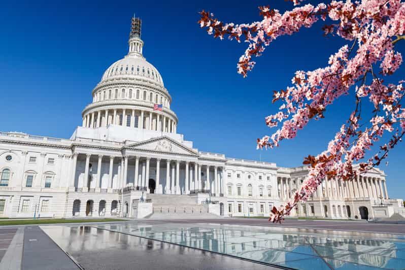 Grand Tour Of Washington DC - Who Should Take This Tour?