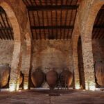 Grande Prova Honrado Vineyards - The Itinerary in Detail: What You Can Expect