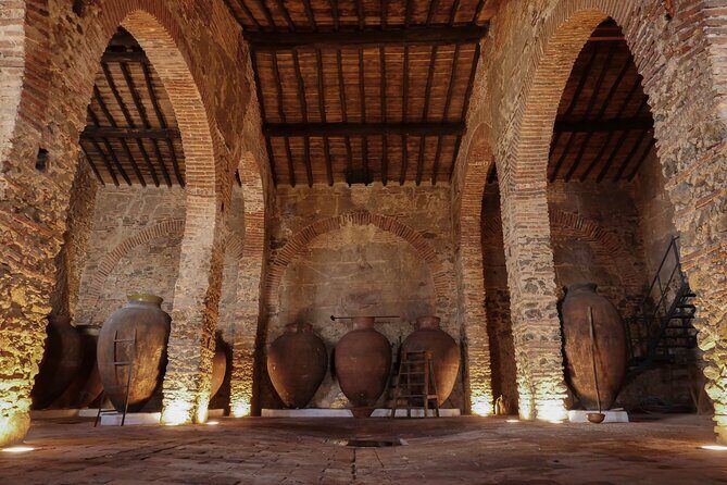 Grande Prova Honrado Vineyards - The Itinerary in Detail: What You Can Expect