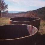 Grape Stomping in Provence - Price and Value