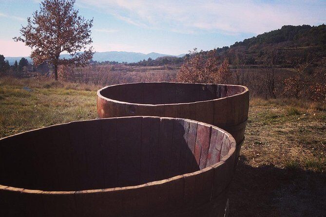 Grape Stomping in Provence - Price and Value