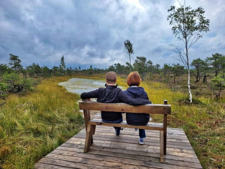Great emeri Bog & Swamp Forest Hiking Adventure - Authentic Perspectives from Past Travelers