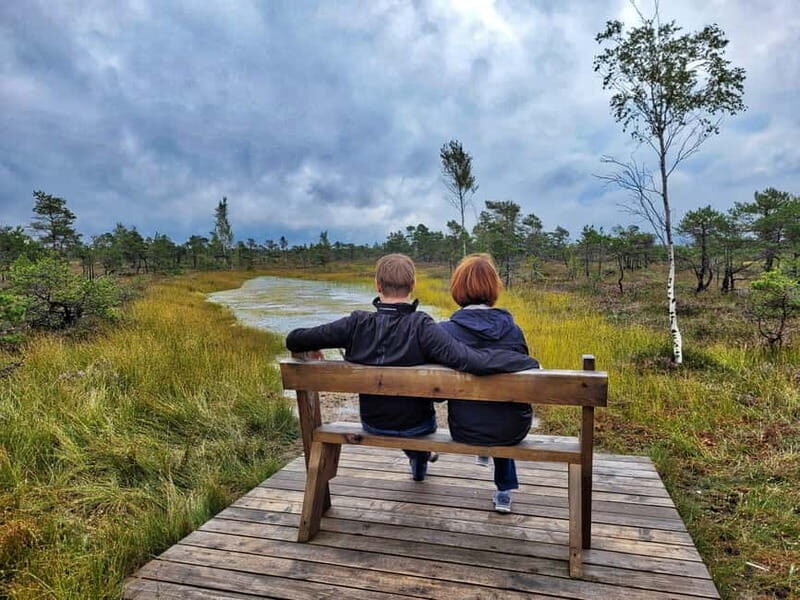 Great emeri Bog & Swamp Forest Hiking Adventure - Authentic Perspectives from Past Travelers