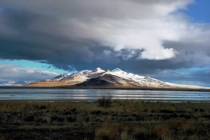 Great Salt Lake and Antelope Island Day Tour - The Itinerary in Detail