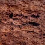 Greater Zion: Extreme Adrenaline UTV Tour in Sand Hollow - Highlights and Practical Insights for Travelers