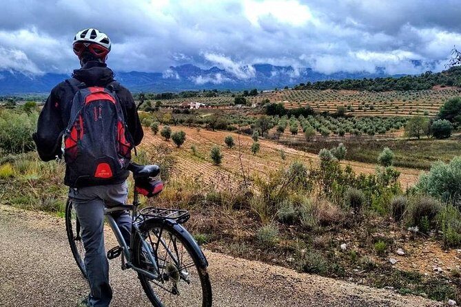 Greenway Section Cretas - Horta de Sant Joan 11km (90% descending 10% flat) - What Makes This Tour Stand Out