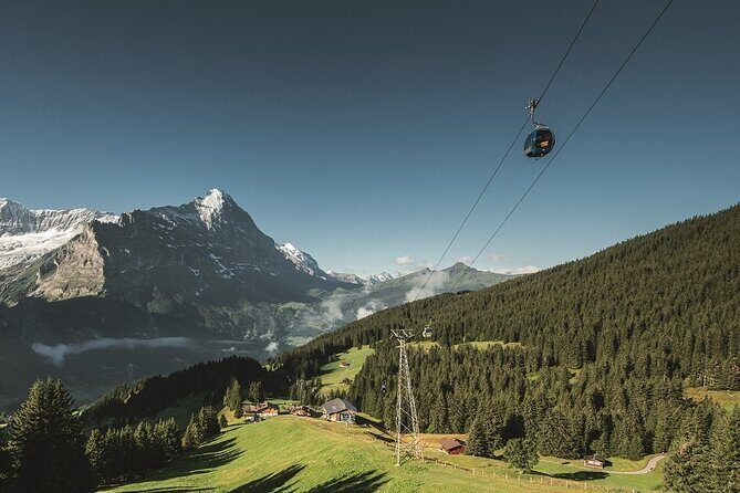 Grindelwald First - Top of Adventure from Lucerne - Authentic Experiences and Authenticity