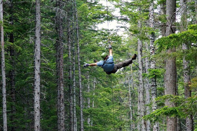 Grizzly Falls Ziplining Expedition - What Makes This Tour Stand Out?