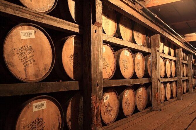 Groups: Makers Mark OR Buffalo Trace OR Woodford or Others - Overview of the Tour