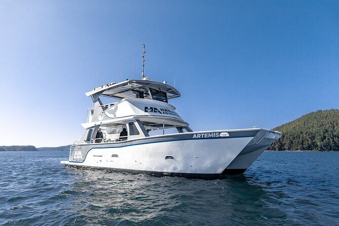 Guaranteed Dolphin and Whale Watch Tour in Kona - The Real Experience: What Travelers Say