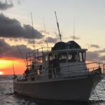 Guaranteed Whale Watch in Kona - The Itinerary in Detail