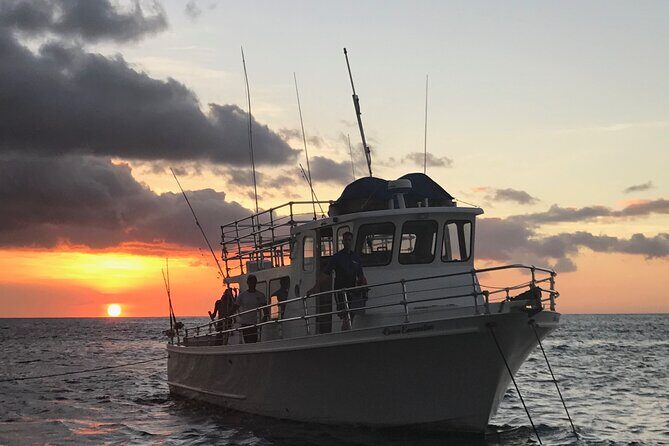 Guaranteed Whale Watch in Kona - The Itinerary in Detail