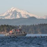 Guaranteed Whale Watching Tour - Downsides and Considerations