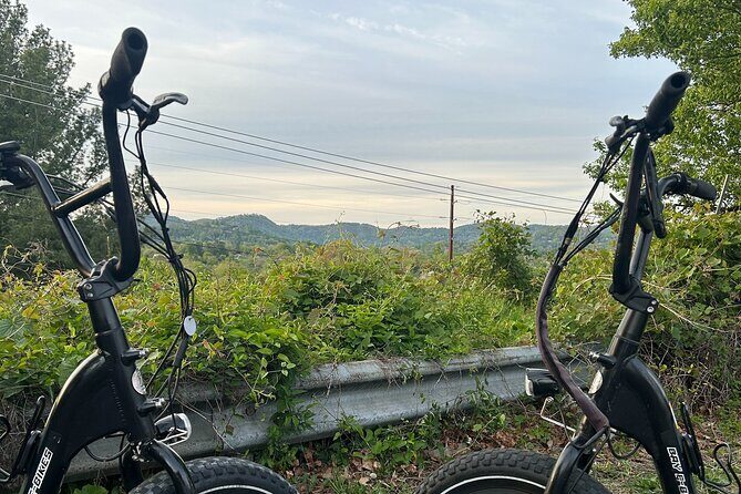 Guided Asheville E-bike Tour of River Arts, Mountains and Murals - Detailed Breakdown of the Itinerary
