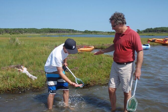 Guided Assateague Kayaking and Wildlife Discovery Tour - Final Words: The Value of a Natural Encounter