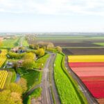 Guided Bike Tour along the Dutch Tulip Fields in Noord Holland - What Travelers Are Saying