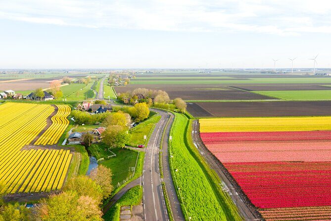 Guided Bike Tour along the Dutch Tulip Fields in Noord Holland - What Travelers Are Saying