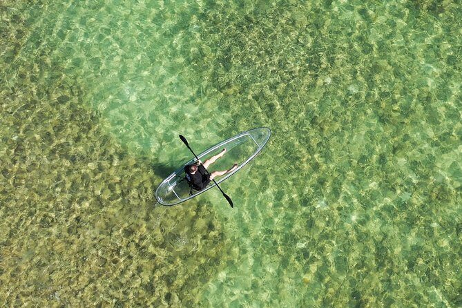 Guided Clear Kayak Eco-Tour Near Key West - What Travelers Can Expect: A Deep Dive into the Experience