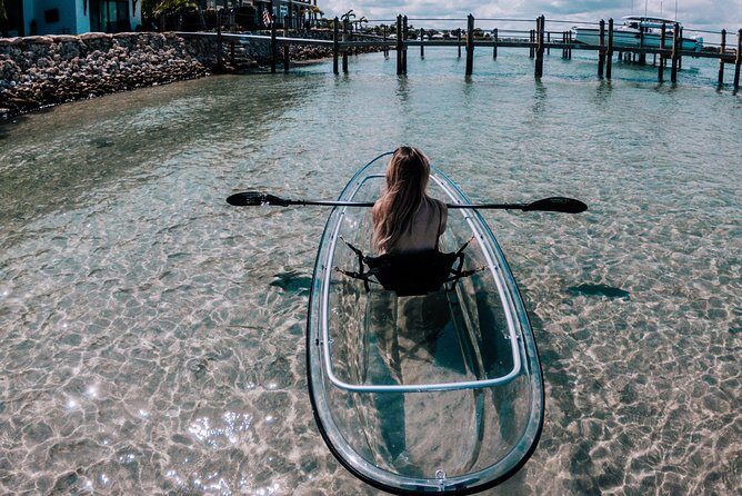 Guided Clear Kayak Eco-Tour of Jupiter - Authentic Experiences and Honest Observations