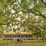 Guided Creole Laura Plantation Tour from New Orleans - The Itinerary in Detail