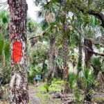 Guided Day Hike Through Florida's wild Backcountry. - Who Will Love This Tour?