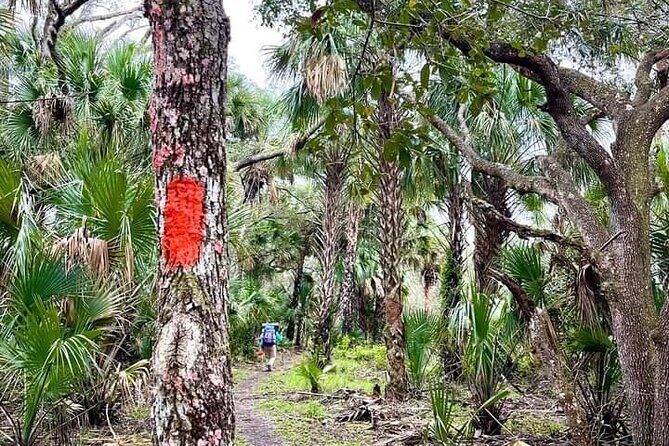 Guided Day Hike Through Florida's wild Backcountry. - Who Will Love This Tour?