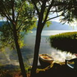 Guided Day Trip to Sapanca and Masukiye From Istanbul - The Practicalities: What’s Included and What’s Not