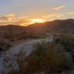 Guided Desert Sunrise or Evening/Sunset 2-Hour Hike at South Mtn - Who Will Love This Tour?