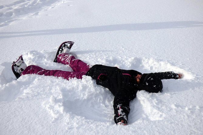 Guided easy snowshoeing with a visit to local café - Pricing & Value Analysis