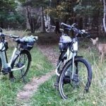 Guided Ebike Tour of Acadia National Park Carriage Roads - Detailed Breakdown of the Itinerary