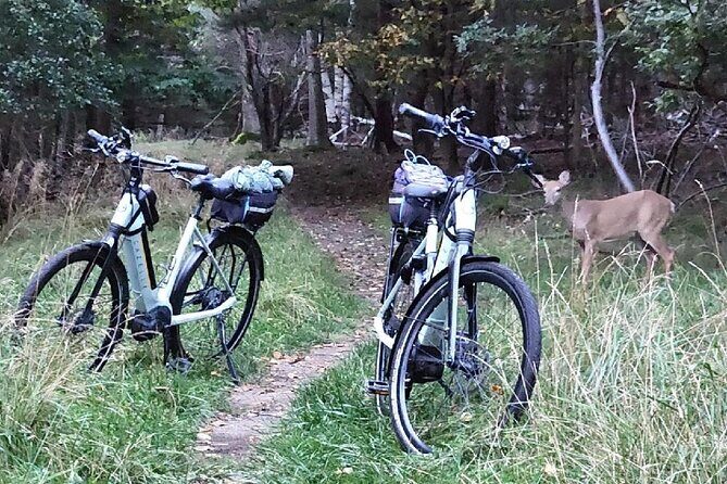 Guided Ebike Tour of Acadia National Park Carriage Roads - Detailed Breakdown of the Itinerary