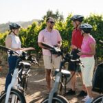 Guided Electric Bike Wine Tour Through Sonoma County - Who Will Love This Tour?