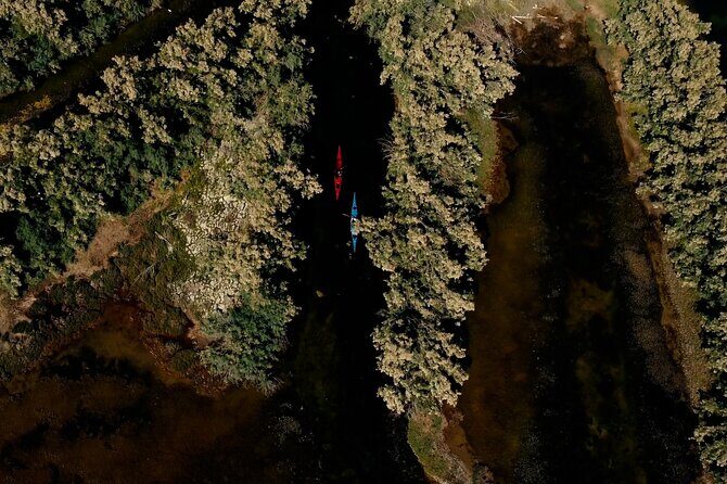 Guided excursion for small groups by kayak in Valle da Pesca - Why This Tour Is a Hidden Gem for Nature Enthusiasts