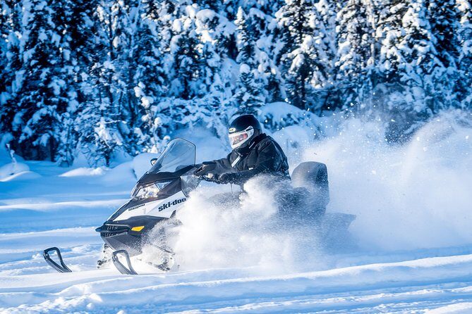 Guided Fairbanks Snowmobile Tour - Value and Cost Analysis