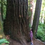 Guided forest hike to Seattle waterfalls incl. Snoqualmie Falls - Authentic Insights from Travelers