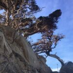 Guided full-day Big Sur hiking adventure with lunch - Who Will Love This Tour?