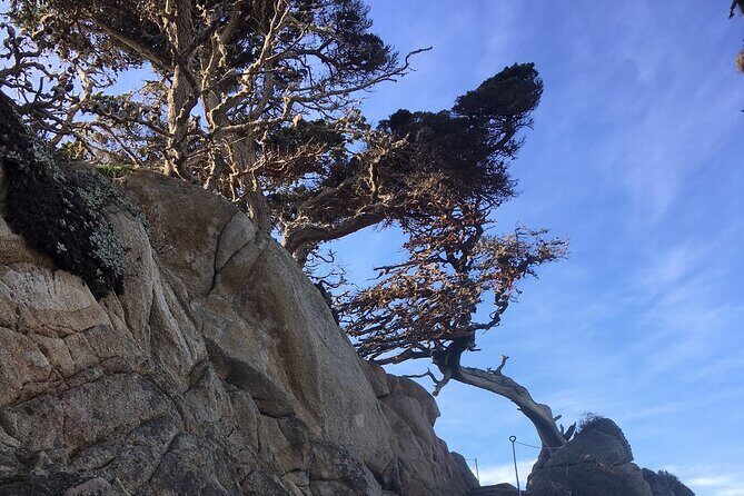 Guided full-day Big Sur hiking adventure with lunch - Who Will Love This Tour?
