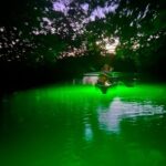 Guided Glow LED Kayak Sunset Activity in Bonita Springs - What’s Included and Practical Details