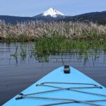 Guided Half-Day Kayak Tour - The Itinerary in Detail