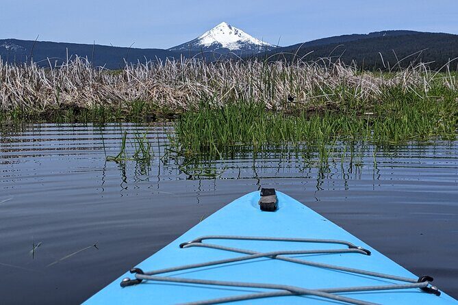 Guided Half-Day Kayak Tour - The Itinerary in Detail