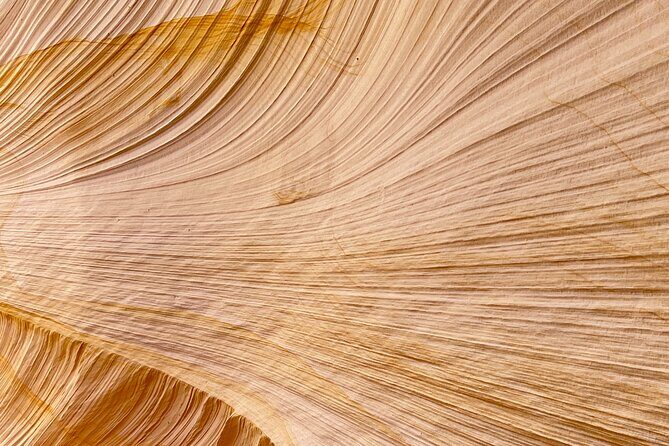Guided Hike through Great Chamber/Cutler Point (Small Group) - Exploring Zion’s Hidden Gem: The Great Chamber and Cutler Point